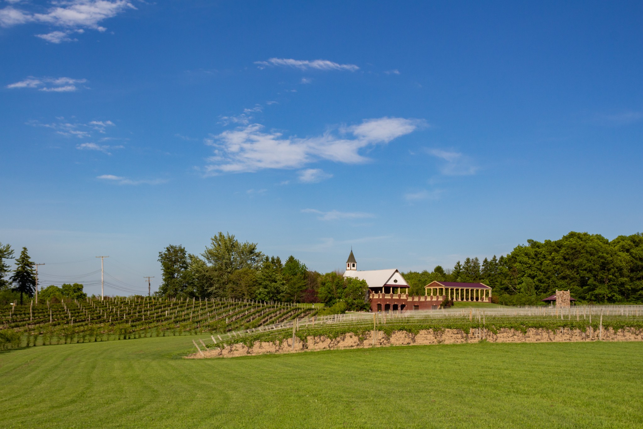 Grand River Valley Winery Spotlight: South River Vineyards – Lilacs ...